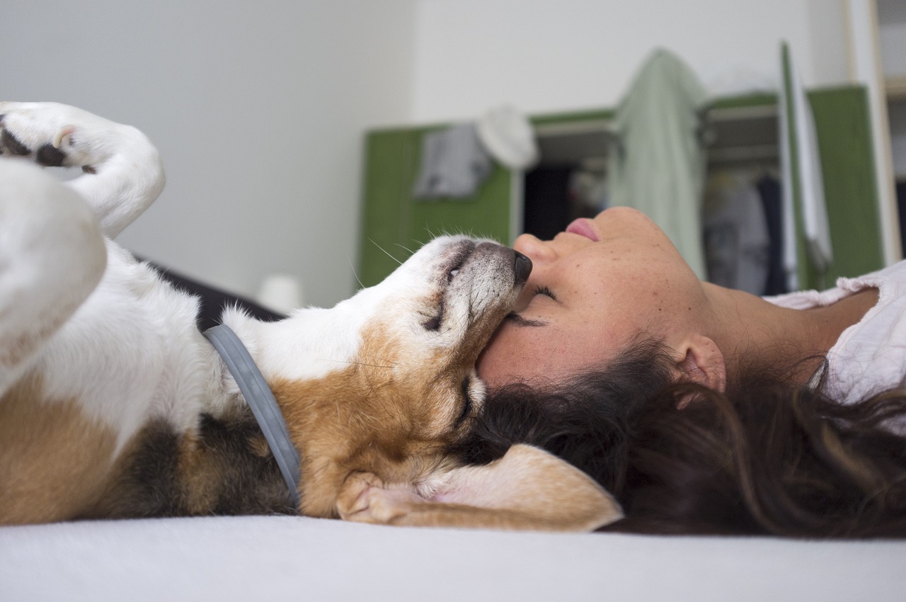 Vaginitis In Dogs: Causes, Treatment, And Prevention – BuzzPetz
