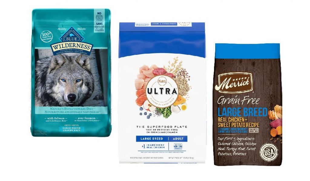 The 5 Best Large Breed Dog Foods In 2023 – BuzzPetz